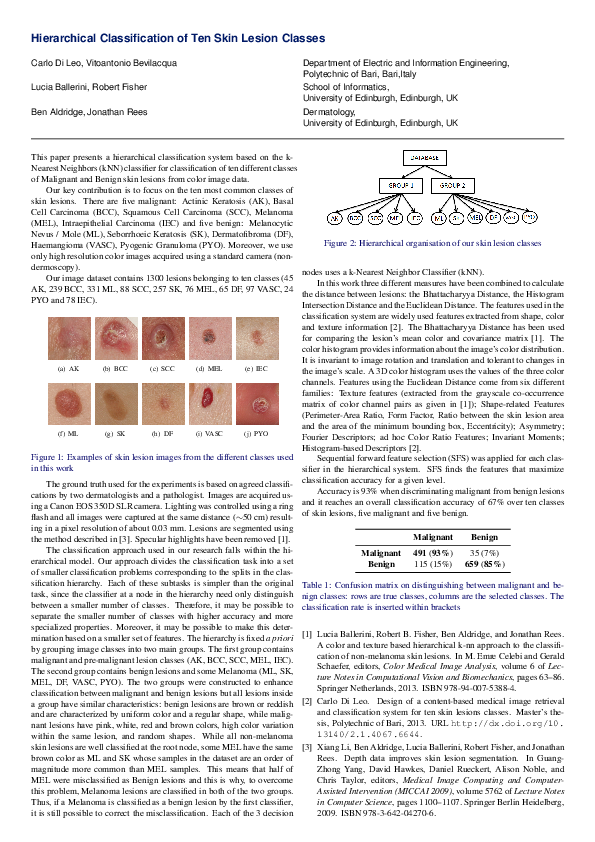 (PDF) Hierarchical Classification of Ten Skin Lesion Classes