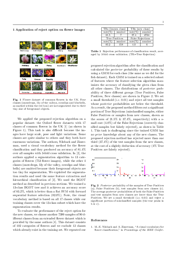 (PDF) Application of reject option on flower images