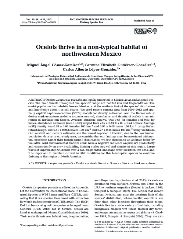 (PDF) Ocelots thrive in a non-typical habitat of northwestern Mexico