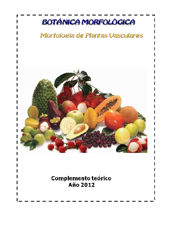 (PDF) Organizacion del cuerpo de la planta.PDF