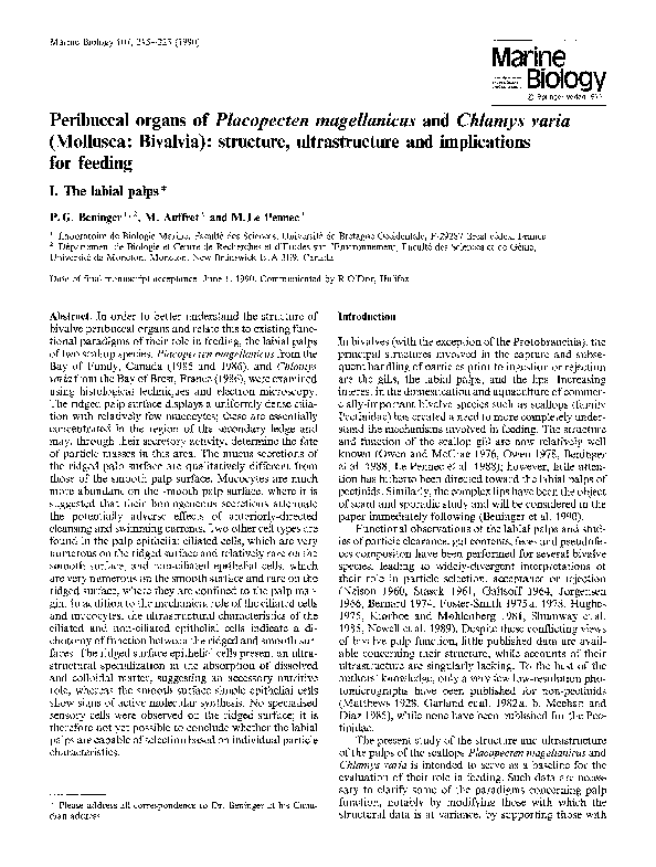 (PDF) Peribuccal organs ofPlacopecten magellanicus andChlamys varia ...