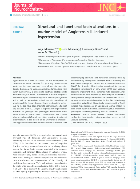 (PDF) Structural and functional brain alterations in a mouse model of ...