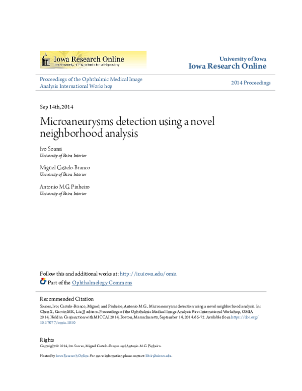 (PDF) Microaneurysms detection using a novel neighborhood analysis | Ivo Soares - Academia.edu