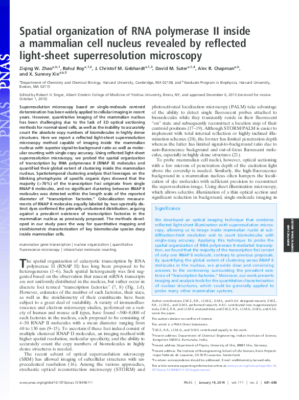 (PDF) Spatial organization of RNA polymerase II inside a mammalian cell ...