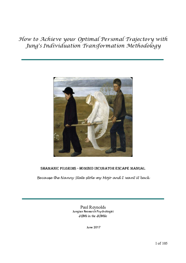 (PDF) How to Achieve your Optimal Personal Trajectory with Jung's ...