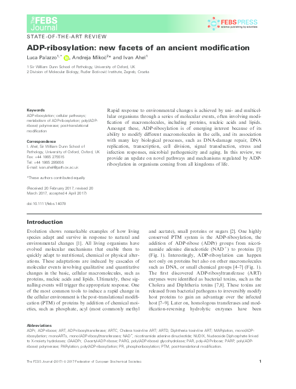 (PDF) ADP-ribosylation: new facets of an ancient modification