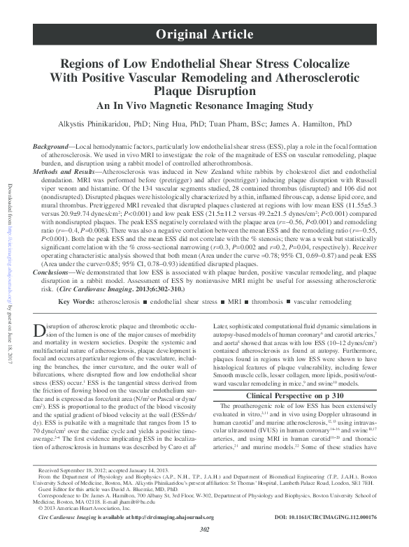 (PDF) Regions of Low Endothelial Shear Stress Colocalize With Positive ...