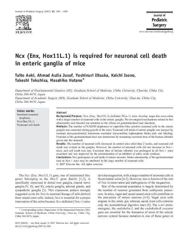 (PDF) Ncx (Enx, Hox11L.1) is required for neuronal cell death in ...