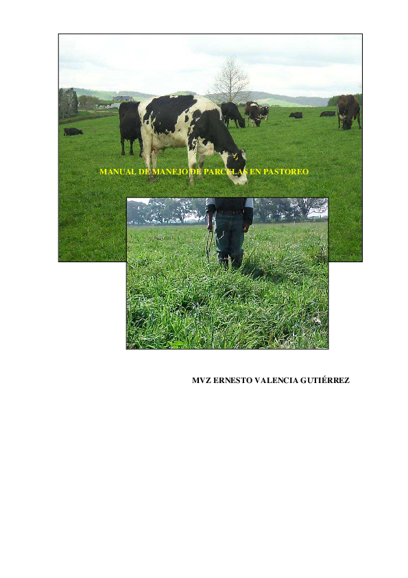 (PDF) Manual pastoreo