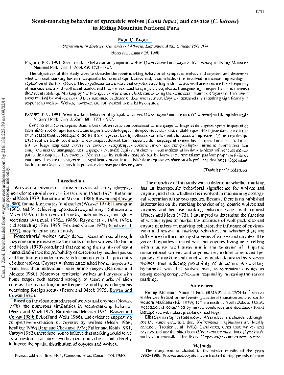 (PDF) Scent-marking behavior of sympatric wolves ( Canis lupus ) and ...