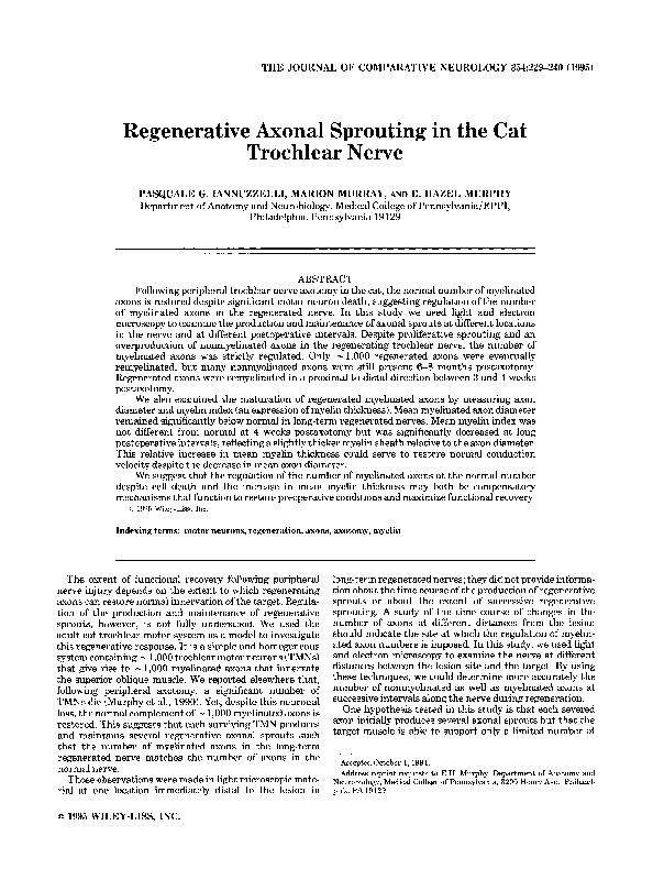(PDF) Regenerative axonal sprouting in the cat trochlear nerve