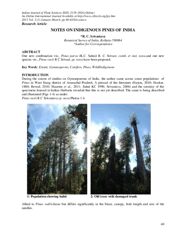 (PDF) NOTES ON INDIGENOUS PINES OF INDIA
