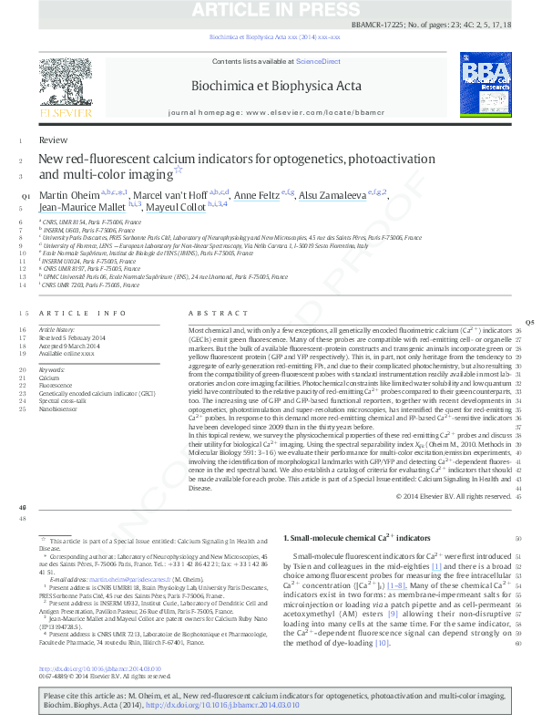 (PDF) New red-fluorescent calcium indicators for optogenetics ...