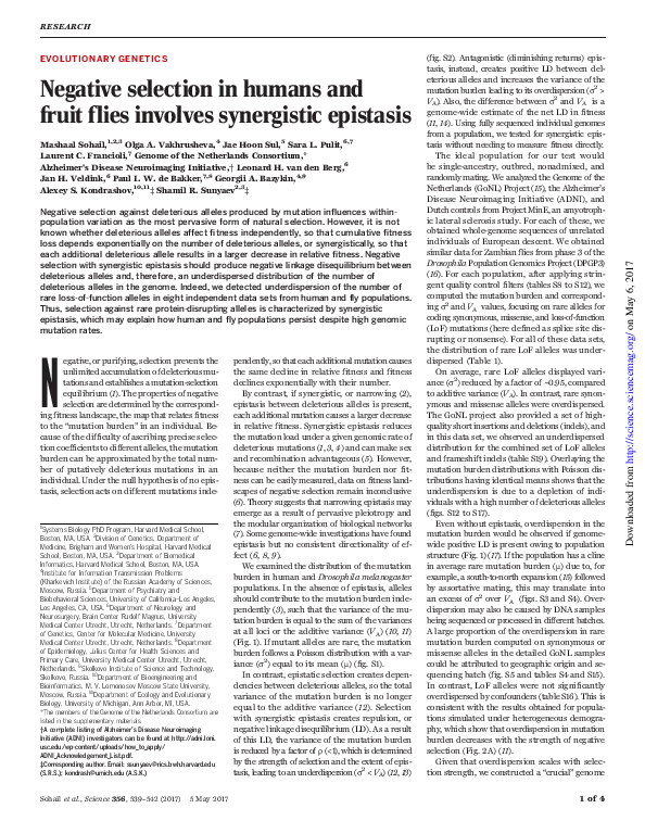 (PDF) Negative selection in humans and fruit flies involves synergistic ...
