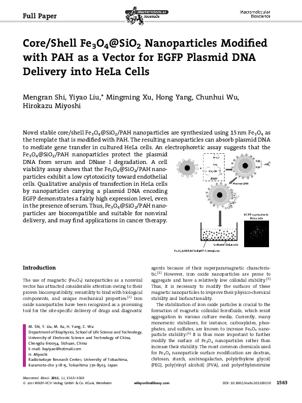 Pdf Coreshell Fe3o4sio2 Nanoparticles Modified With Pah As A Vector