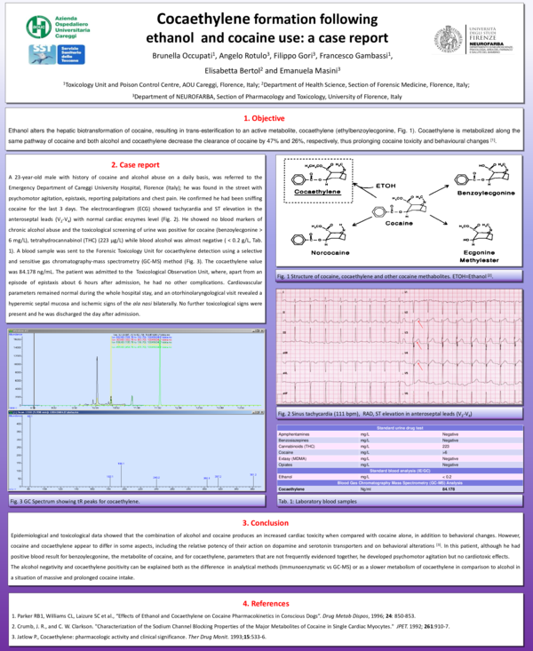 (PDF) Cocaethylene formation following ethanol and cocaine use: a case ...