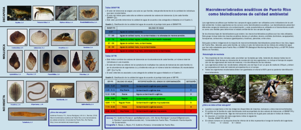 (PDF) Guia Fotograf. Macroinvert. Puerto Rico