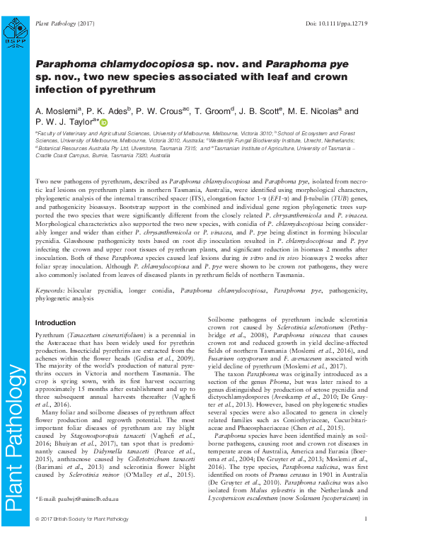 (PDF) Paraphoma chlamydocopiosa sp. nov. and Paraphoma pye sp. nov ...