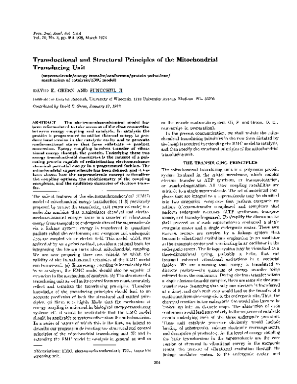 (PDF) Transductional and Structural Principles of the Mitochondrial ...