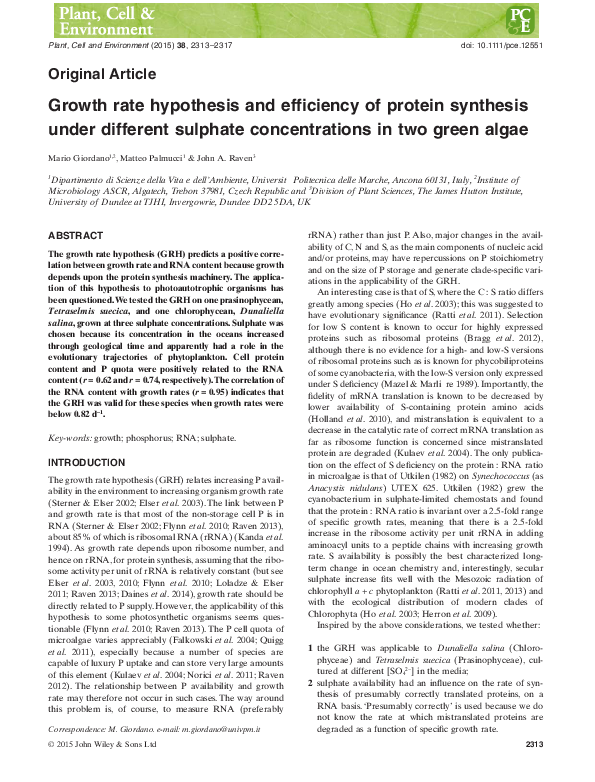 (PDF) Growth rate hypothesis and efficiency of protein synthesis under ...