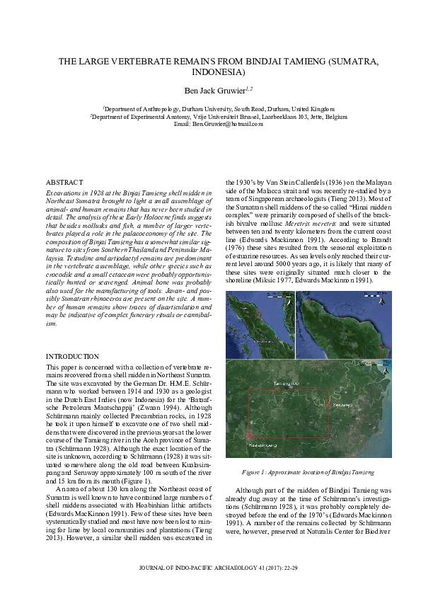 PDF) Evidences Of Cheloniophagy By Early Hominid (Homo, 42% OFF