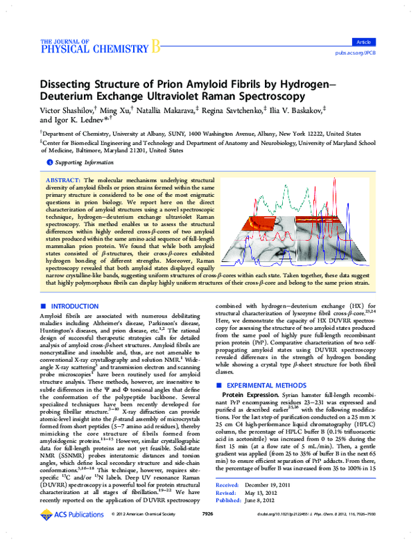 (PDF) Dissecting Structure of Prion Amyloid Fibrils by Hydrogen ...