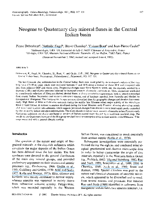 (PDF) Neogene to Quaternary clay mineral fluxes in the Central Indian basin