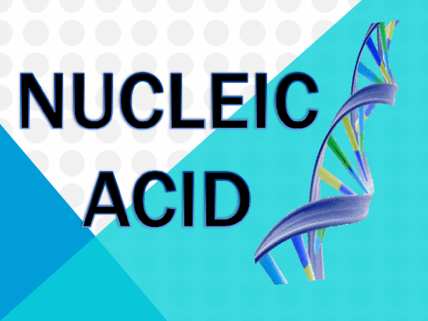 (PPT) NUCLEIC ACID