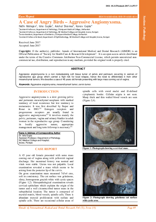 (PDF) Giant Deep Aggressive Angiomyxoma of The Vulva: A Rare Case ...