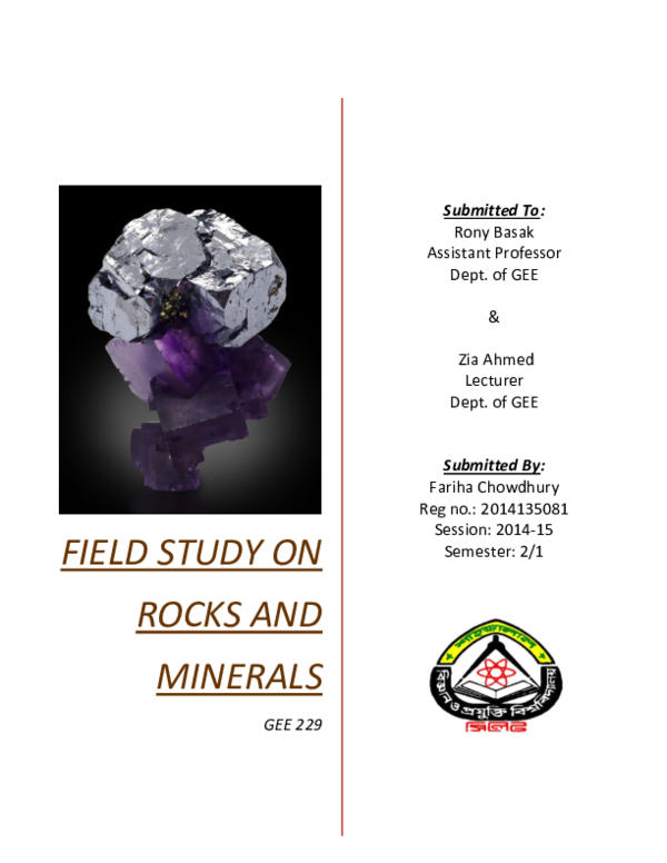 (DOC) FIELD STUDY ON ROCKS AND MINERALS