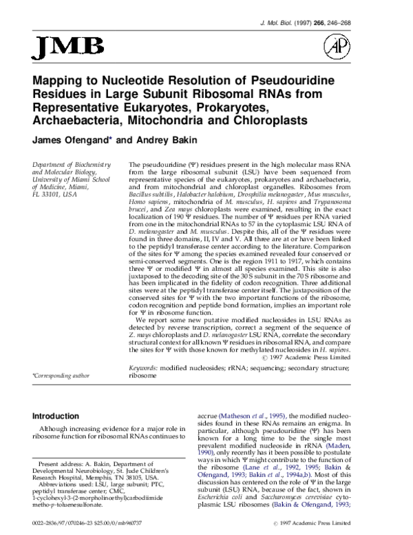 (PDF) Mapping to nucleotide resolution of pseudouridine residues in large subunit ribosomal RNAs ...