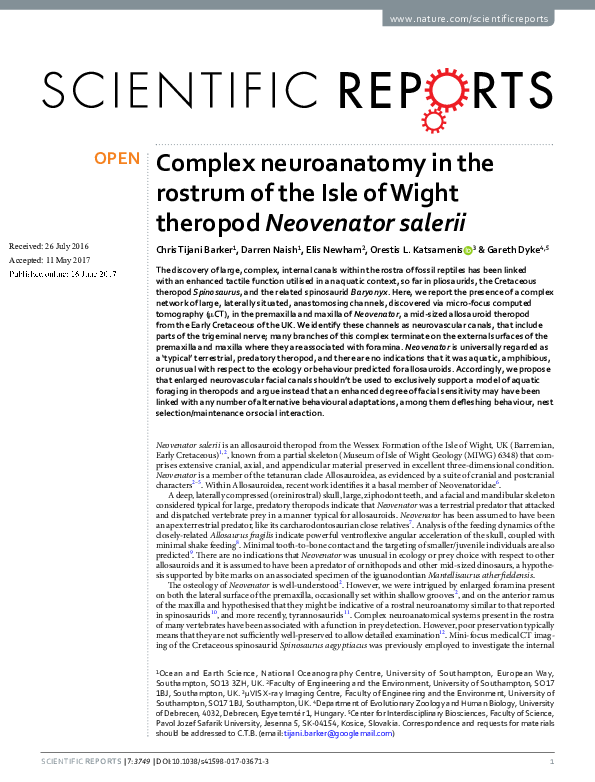 (PDF) Complex neuroanatomy in the rostrum of the Isle of Wight theropod ...