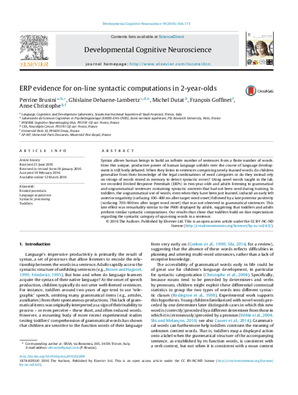 (PDF) ERP evidence for on-line syntactic computations in 2-year-olds | Perrine Brusini and ...