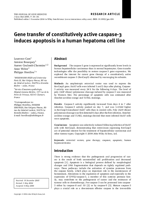 (PDF) Gene transfer of constitutively active caspase-3 induces ...