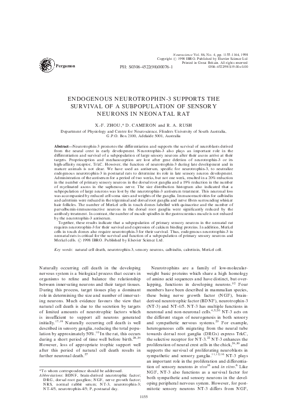 (PDF) Endogenous neurotrophin-3 supports the survival of a subpopulation of sensory neurons in ...