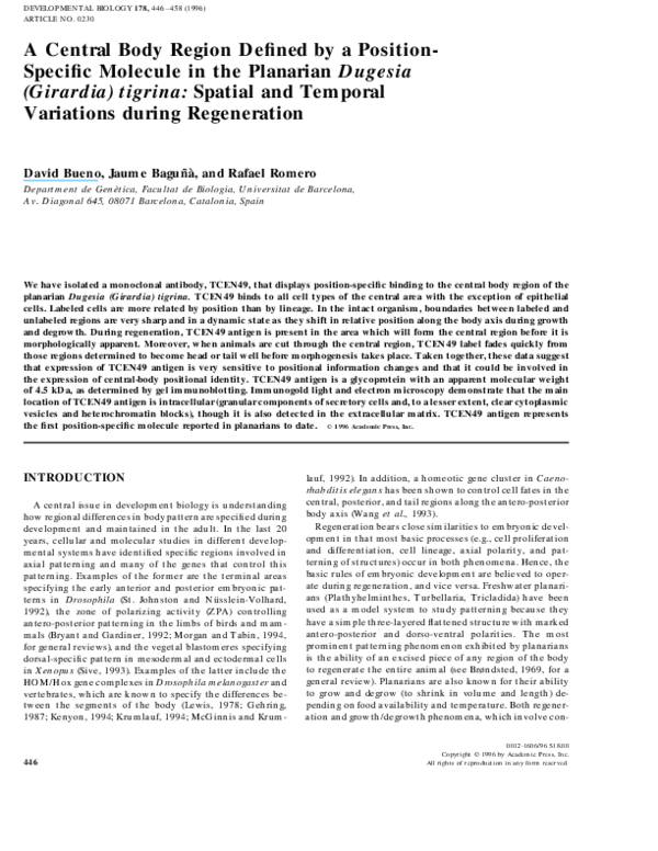 (PDF) A Central Body Region Defined by a Position-Specific Molecule in ...