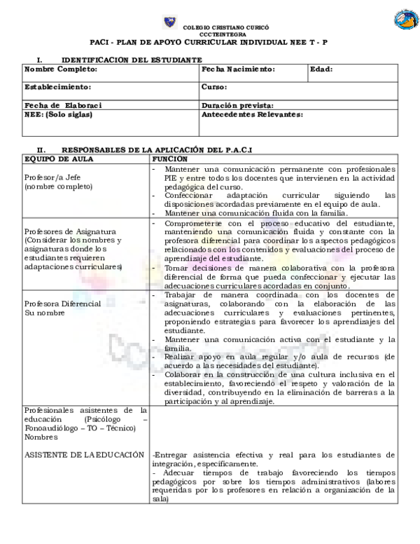 (DOC) PACI -PLAN DE APOYO CURRICULAR INDIVIDUAL NEE T -P