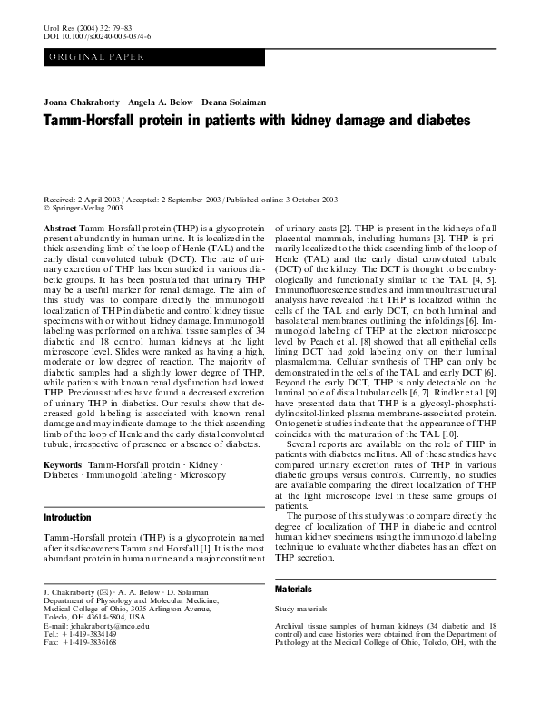 (PDF) Tamm-Horsfall protein in patients with kidney damage and diabetes