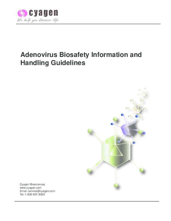 (PDF) Adenovirus Biosafety Information and Handling Guidelines