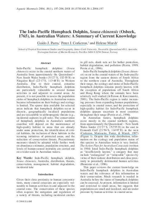 (PDF) The Indo-Pacific Humpback Dolphin, Sousa chinensis (Osbeck, 1765 ...
