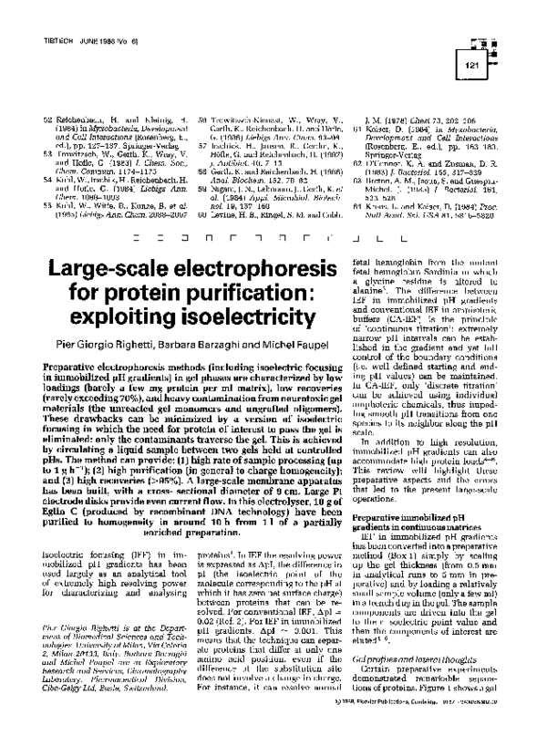 (PDF) Large-scale electrophoresis for protein purification: exploiting ...