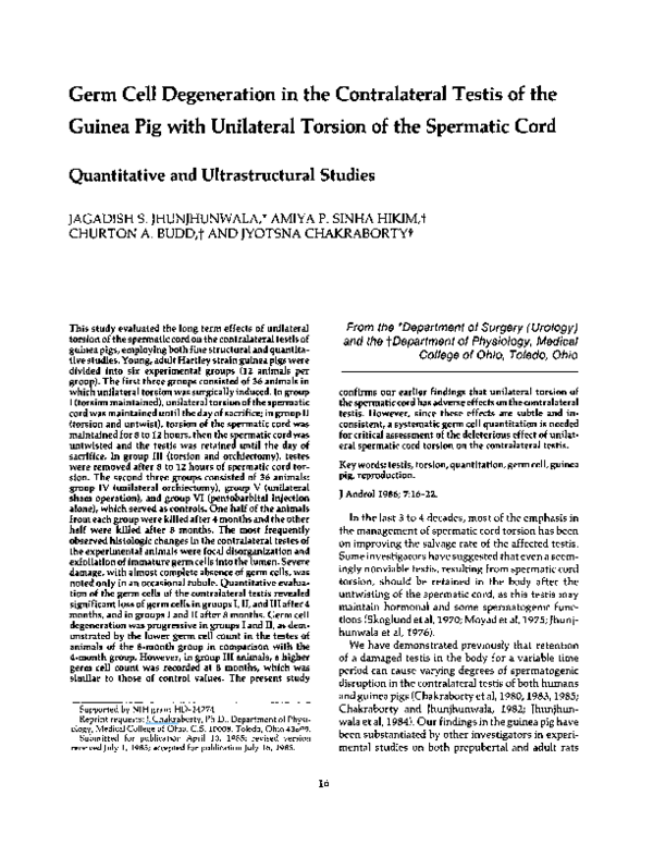 (PDF) Germ cell degeneration in the contralateral testis of the guinea ...
