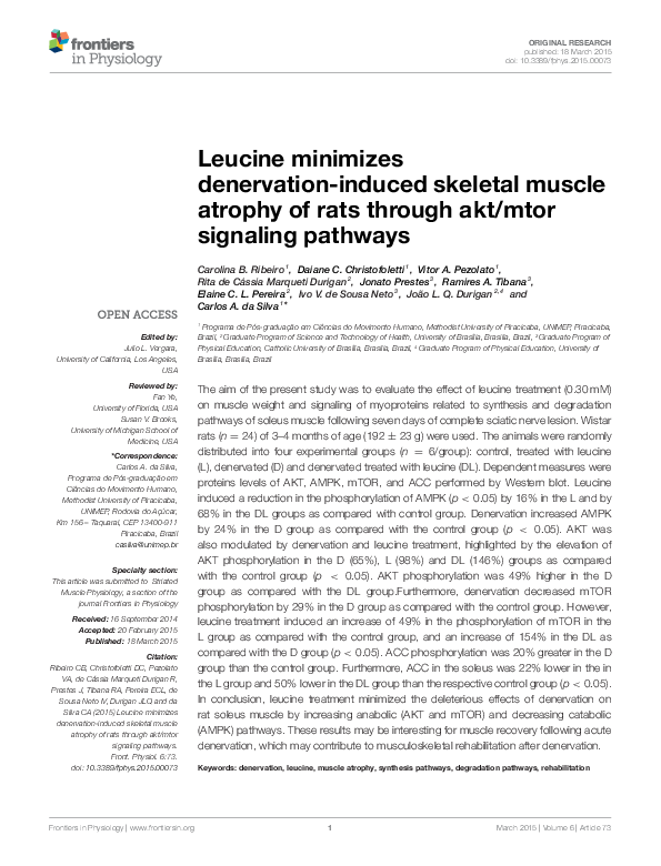 (PDF) Leucine minimizes denervation-induced skeletal muscle atrophy of ...