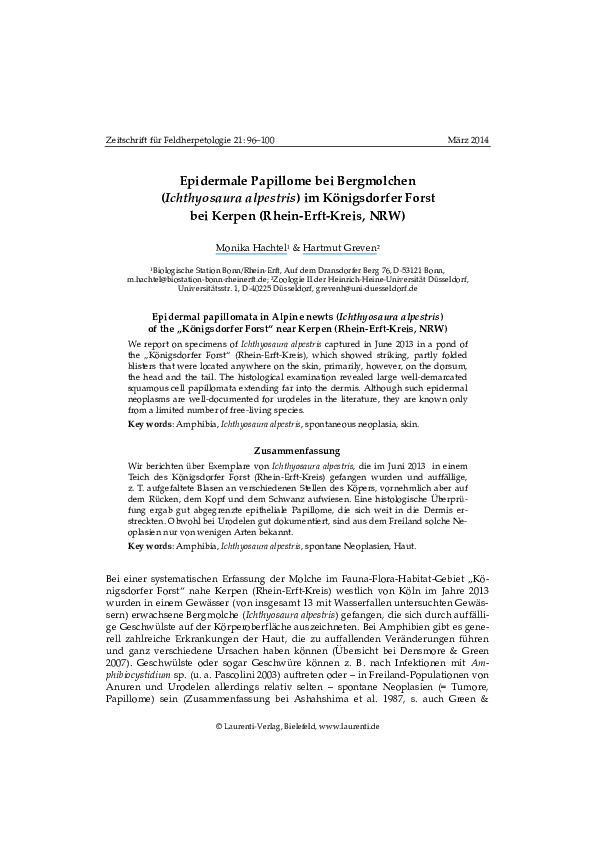 (PDF) Epidermale Papillome bei Bergmolchen (Ichthyosaura alpestris) im ...