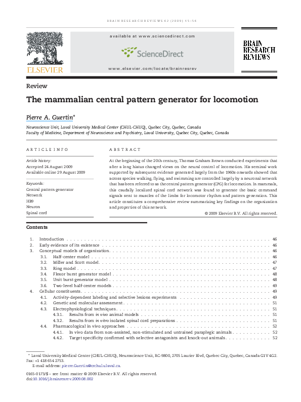 (PDF) The mammalian central pattern generator for locomotion