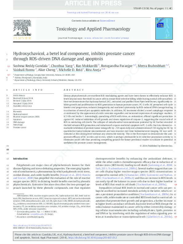 (PDF) Hydroxychavicol, a betel leaf component, inhibits prostate cancer ...