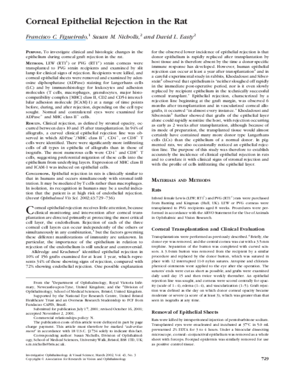 (PDF) Corneal epithelial rejection in the rat