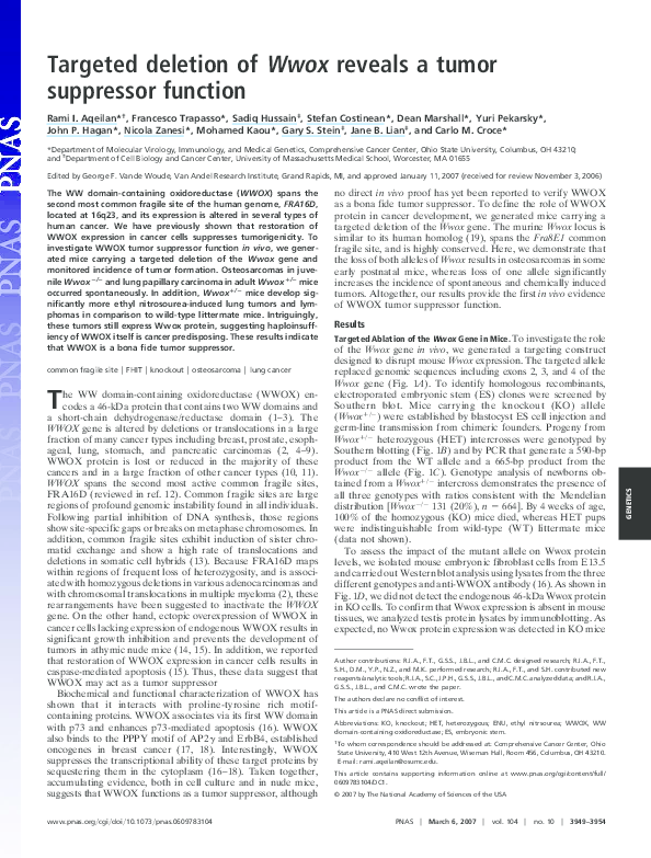 (PDF) Targeted deletion of Wwox reveals a tumor suppressor function ... (PDF) Targeted deletion of Wwox reveals a tumor suppressor function ...