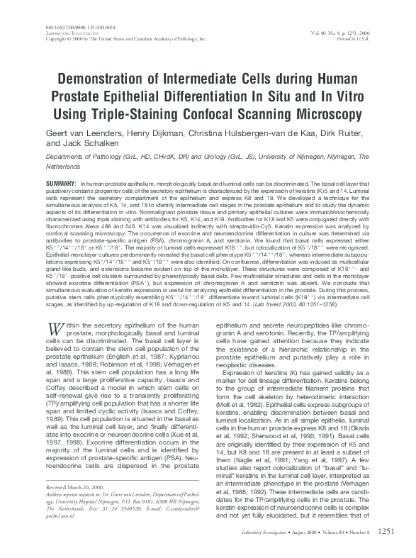 (PDF) Demonstration of Intermediate Cells during Human Prostate ...