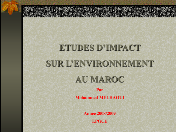 (PPT) Cours eie 2009 melhaoui